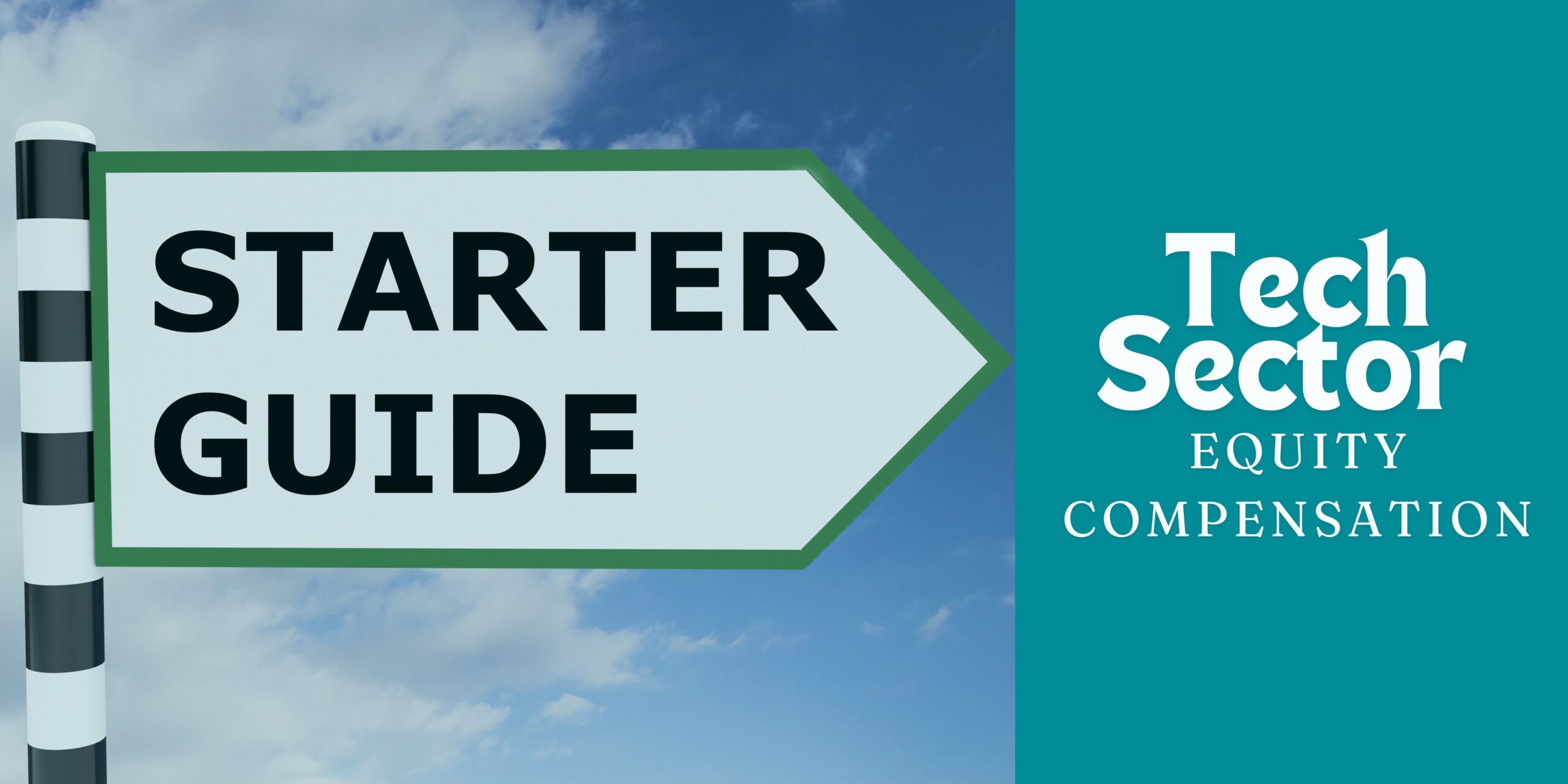 Tech Sector Equity Compensation: A Starter's Guide for Success - RHS ...
